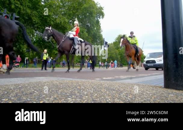 Mounted lifeguard ceremonial uniform horse Stock Videos & Footage - HD ...