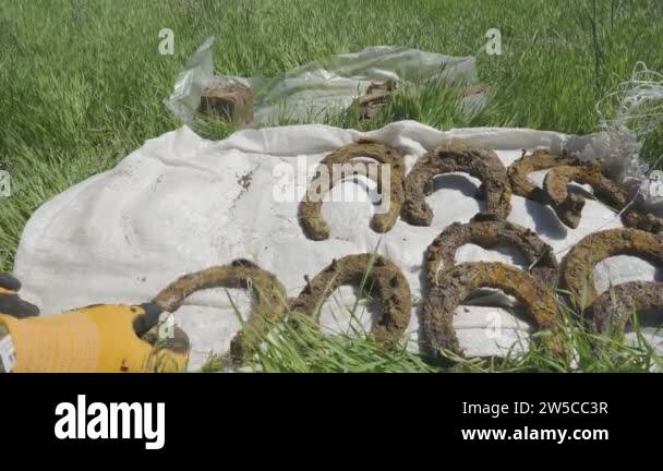 Fossils excavation Stock Videos & Footage - HD and 4K Video Clips - Alamy