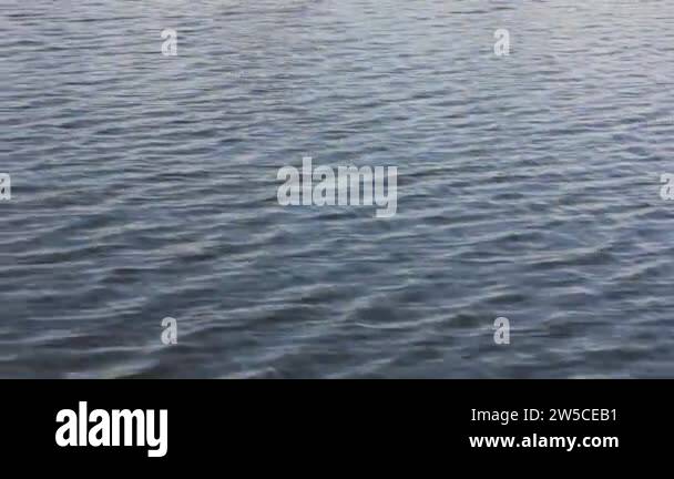 A calm flow of deep water in a river, sea, lake splashing outside. A ...