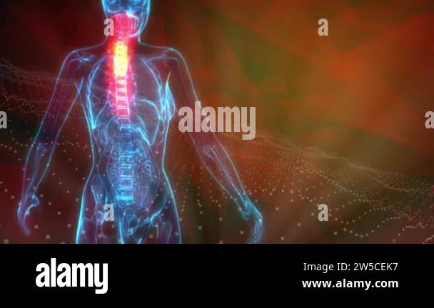 cg medical 3D animation, Cervical, top part of spine on x ray body ...