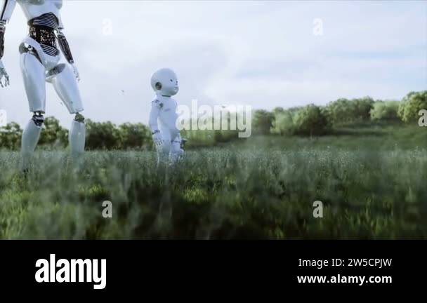 mother robot with her baby robot in the meadow on the background of a ...