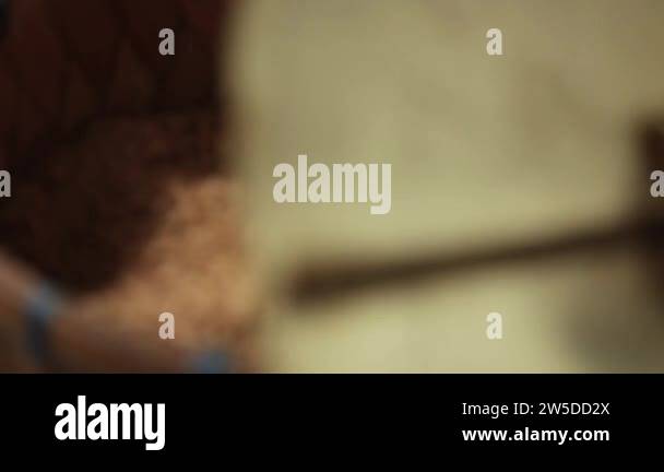 Rice transportation Stock Videos & Footage - HD and 4K Video Clips - Alamy