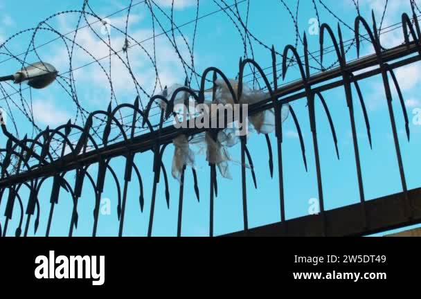 Razor wire. Barbed wire fence with sharp spears - no trespass. Prison ...