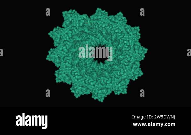 Helical model Stock Videos & Footage - HD and 4K Video Clips - Alamy