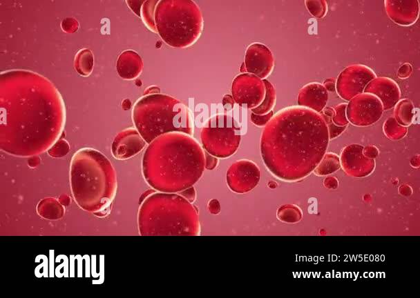 Red blood cells and particles flowing from left to right past the ...