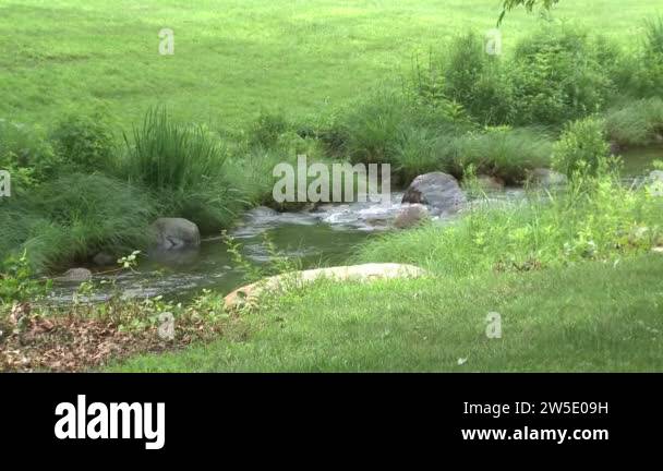 Brook kent Stock Videos & Footage - HD and 4K Video Clips - Alamy