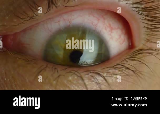 Close up human eye rotating Stock Videos & Footage - HD and 4K Video ...