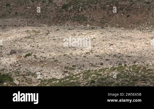Stream bed Stock Videos & Footage - HD and 4K Video Clips - Alamy