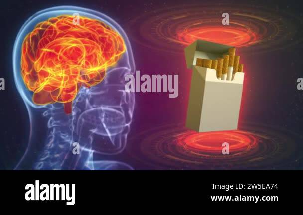 x-ray human head image with highlighted brain and cigarette pack - risk ...