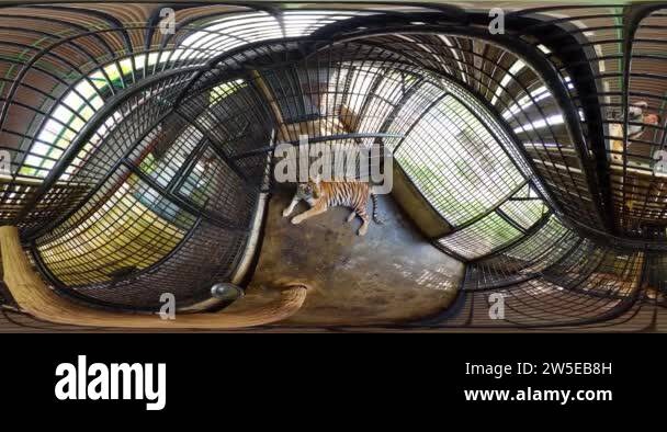 Davao Crocodile Park, Philippines. Virtual tour 360 Stock Video Footage ...