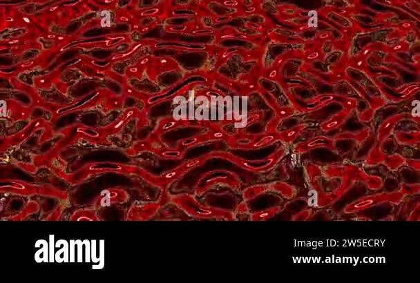 Blood microscope Stock Videos & Footage - HD and 4K Video Clips - Alamy
