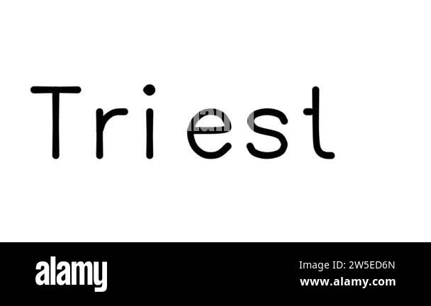 Trieste Handwritten Text Animation in Various Sans-Serif Fonts and ...