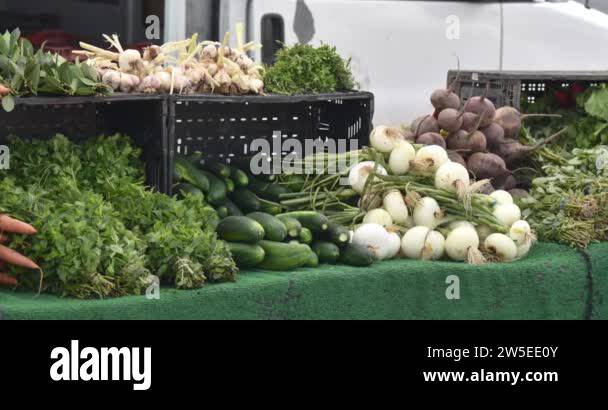 Fresh produce on display at market Stock Videos & Footage - HD and 4K ...