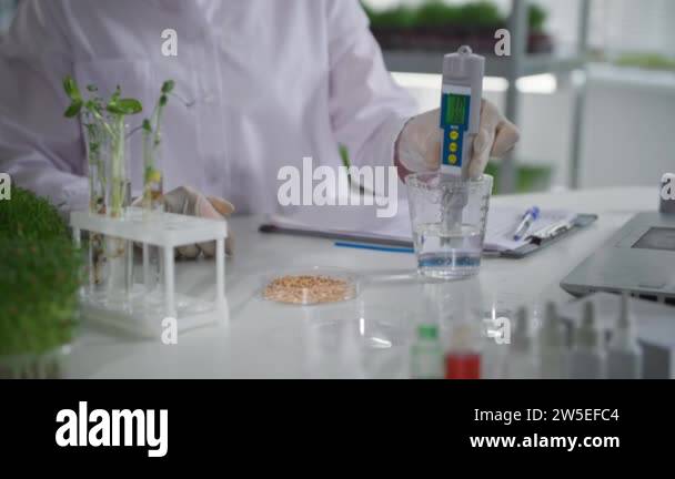 bio laboratory, woman ecologist in medical gloves examines the hardness of leading to spill the ...