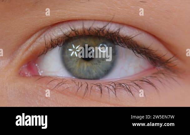 Beautiful human eye close-up. Young Woman one eye macro shoot. Macro ...