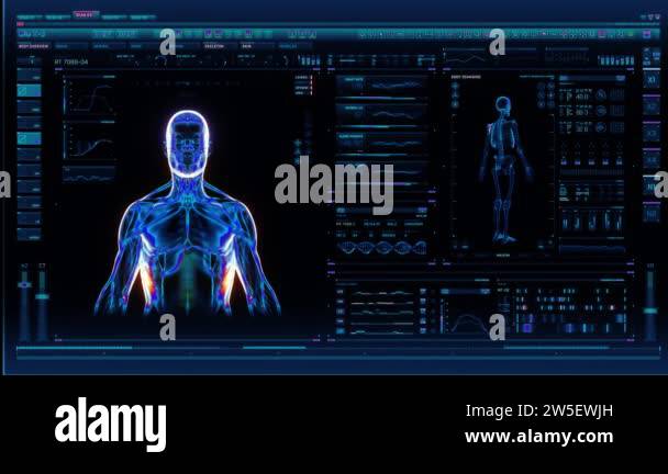 Holographic futuristic Interface showing analysis of human male anatomy ...