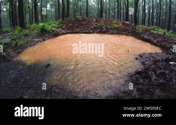 Rain Water Harvesting Through Ponds In Hilly Areas Of Himalayan Region ...