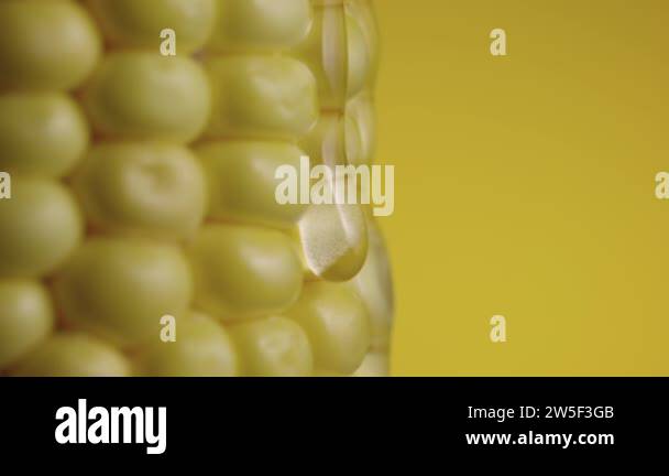 Rows of sweet corn Stock Videos & Footage - HD and 4K Video Clips - Alamy