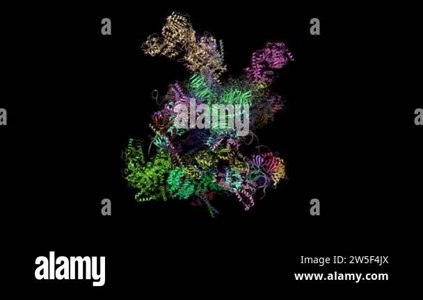 Cryo-EM structure of the human activated spliceosome (late Bact ...