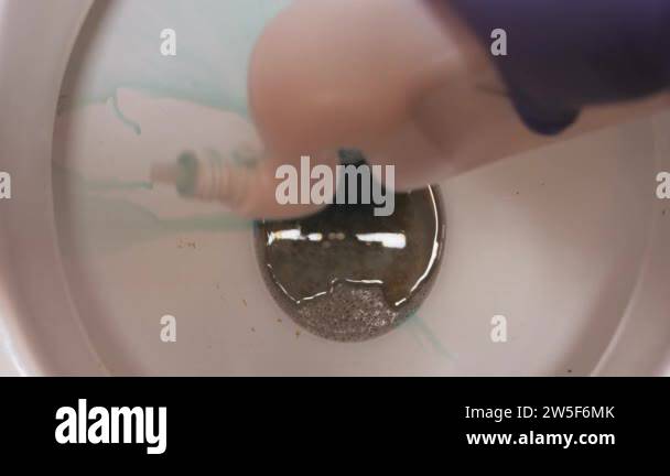 Flush water in the toilet.Treatment under the rim of the toilet with an ...