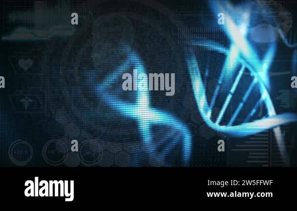 Digital animation of multiple dna structure spinning medical digital ...
