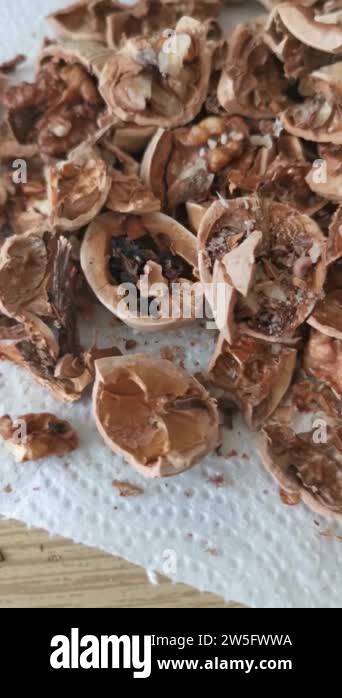 Worm in walnuts Stock Videos & Footage - HD and 4K Video Clips - Alamy