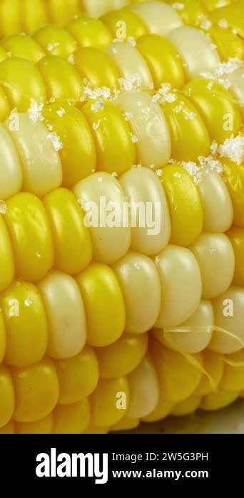 Sweet hot corn sprinkled with salt and melting butter. Grains of salt ...