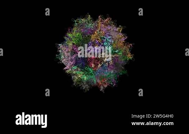 Structure of the adeno-associated virus 7 (AAV7) capsid, animated 3D ...
