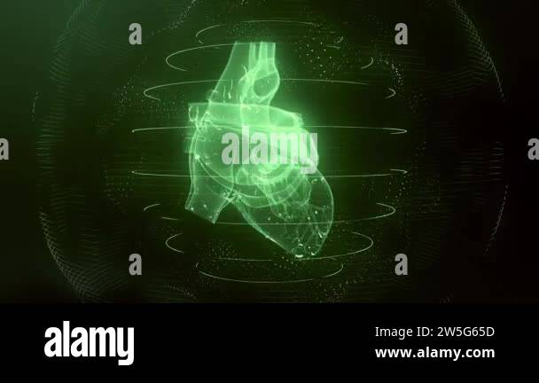 Anatomically correct green digital human heart seamless loop with ...