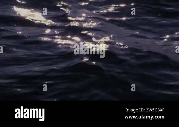 Deep sea dark Stock Videos & Footage - HD and 4K Video Clips - Alamy