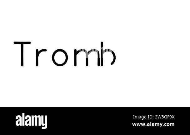Trombone Handwritten Text Animation in Various Sans-Serif Fonts and ...