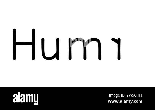 Human Handwritten Text Animation in Various Sans-Serif Fonts and ...