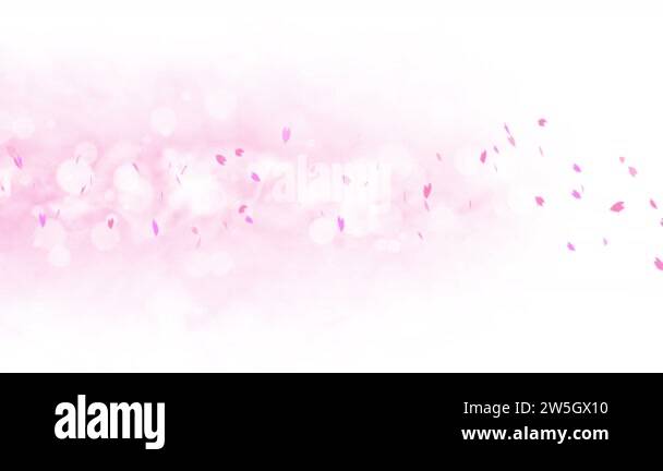 Colorful bright petals swinging in spring background with sun flares ...