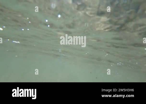 Water surface from below Stock Videos & Footage - HD and 4K Video Clips ...