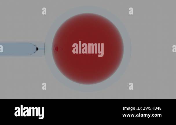 Human egg cell microscope Stock Videos & Footage - HD and 4K Video ...