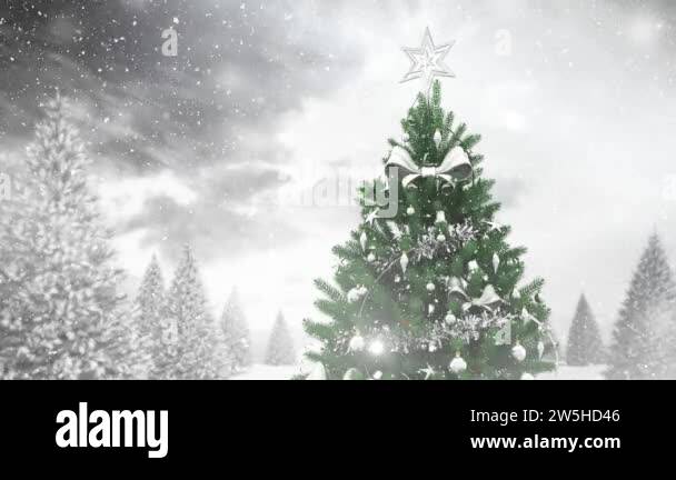 Snow falling over christmas tree and multiple snow covered trees on ...