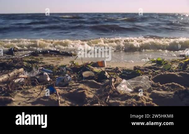 Beach waste management Stock Videos & Footage - HD and 4K Video Clips ...