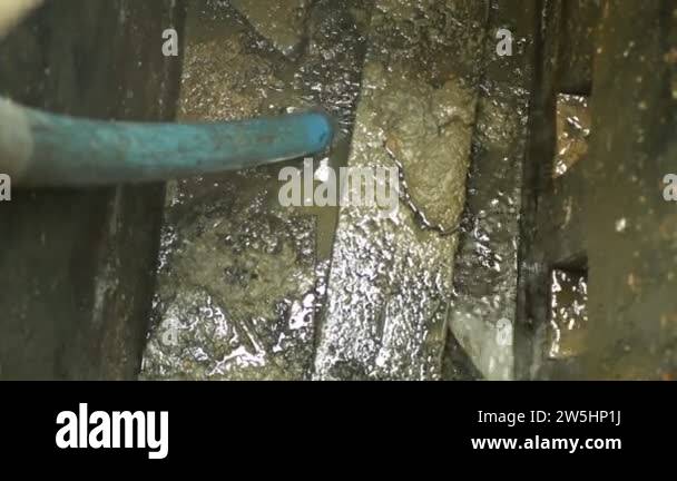 Septic cesspool emptying pumping into pipe tank by suction hose under ...