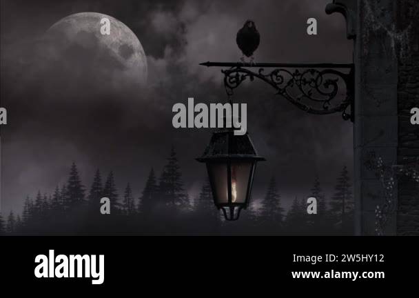 Raven with moon background Stock Videos & Footage - HD and 4K Video ...