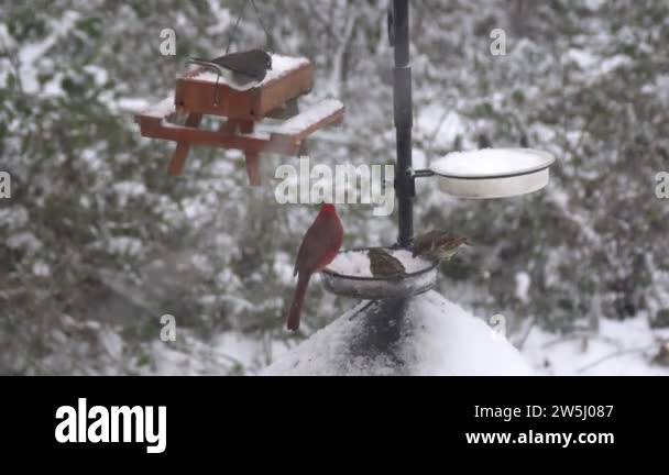 Storm proof Stock Videos & Footage - HD and 4K Video Clips - Alamy