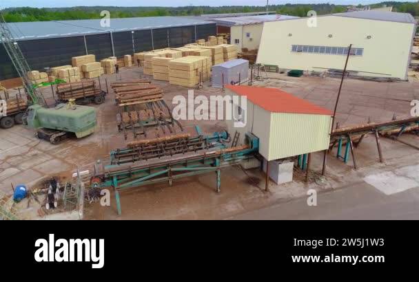 Crane unloads logs on the sorting line. Automated log sorting at a ...