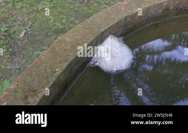 foam nest of frog's egg floating on the surface water Stock Video ...