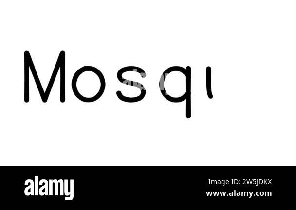 Mosque Handwritten Text Animation in Various Sans-Serif Fonts and ...