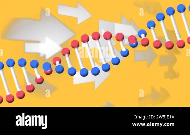 Digital animation of dna structure spinning over multiple arrow icons ...