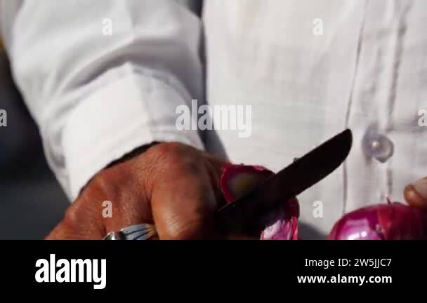 Sharp bark Stock Videos & Footage - HD and 4K Video Clips - Alamy