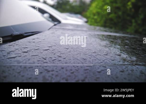 raindrops on car. rain. raining. raindrops drip and slowly trickling ...