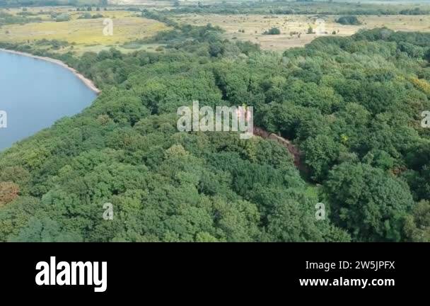 Balga tree Stock Videos & Footage - HD and 4K Video Clips - Alamy