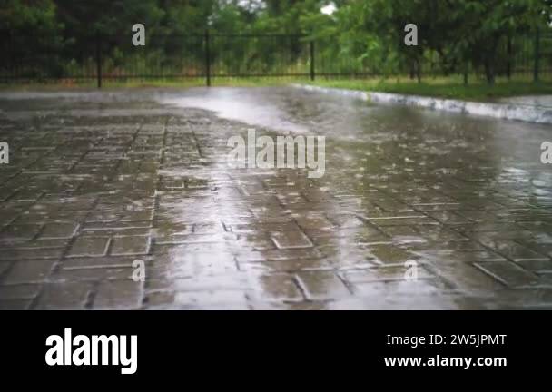 rain, puddles. raining. Water drops. rainstorm. large raindrops fall ...