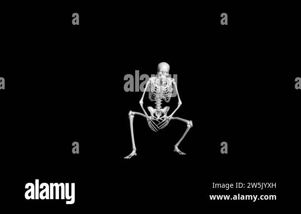 3D animation of skeletons. Sitting pose Stock Video Footage - Alamy