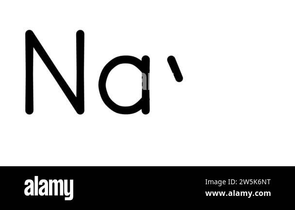 Navy Handwritten Text Animation in Various Sans-Serif Fonts and Weights ...